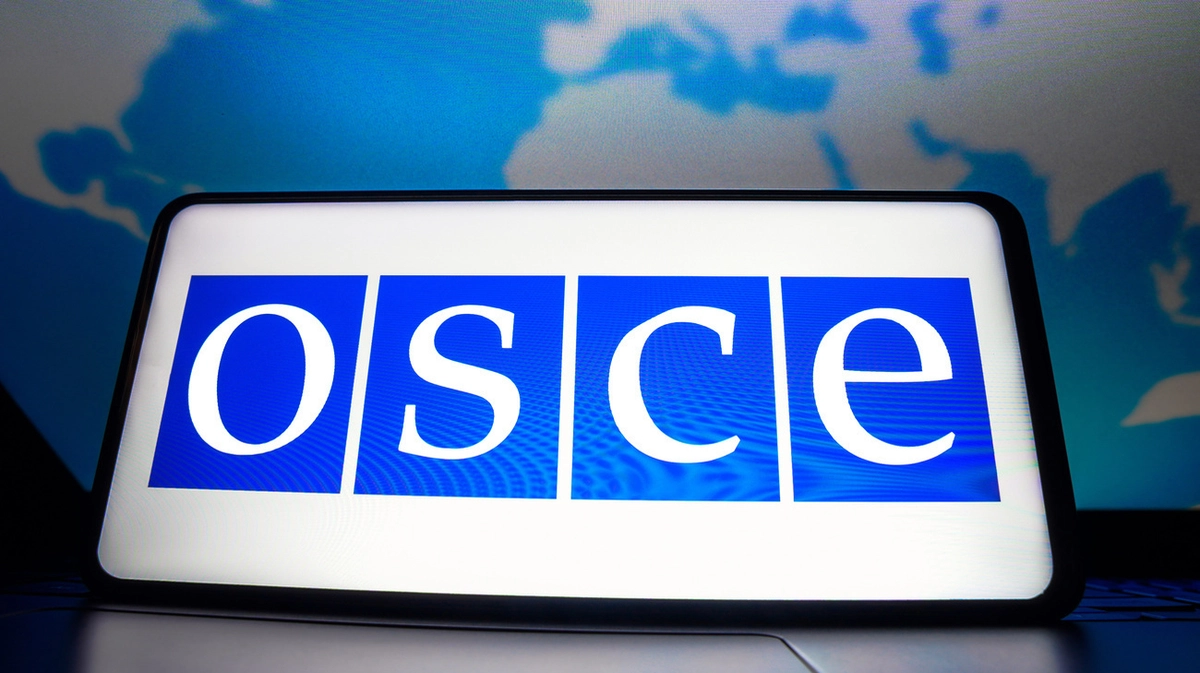 Over 40 OSCE states demand investigation into torture of Ukrainian POWs ...