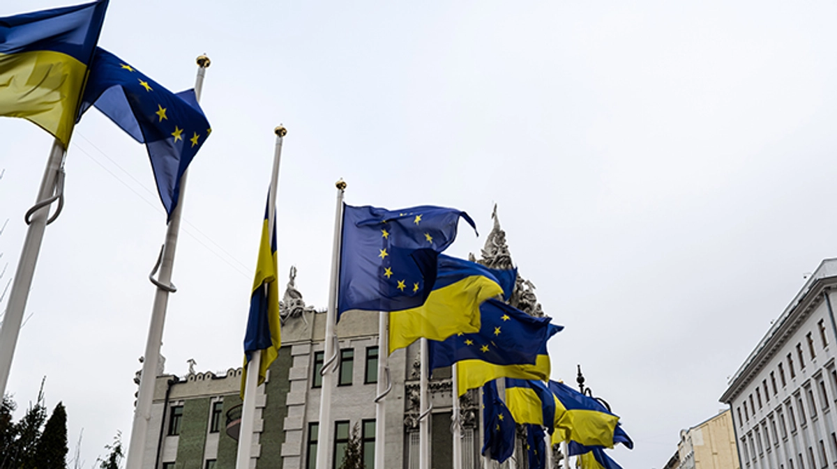 Ukraine fulfils 4 out of 7 criteria for EU membership – European ...