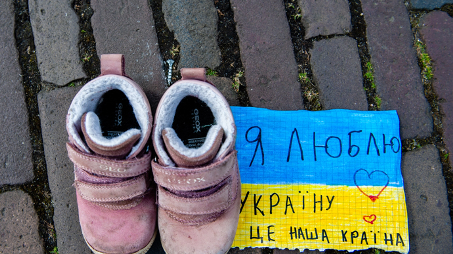 Netherlands aim to equip hundreds of new places to host Ukrainian ...