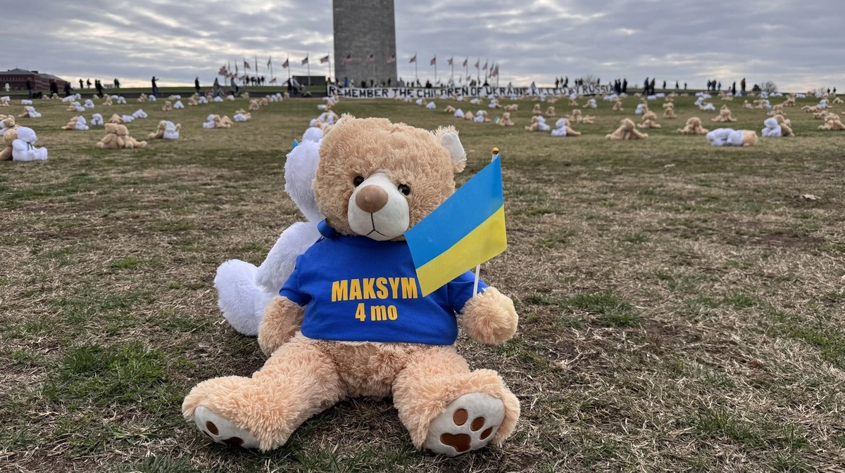 Hundreds of teddy bears are collected in Washington in memory of ...