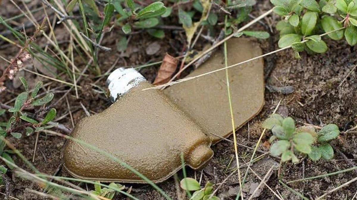 Seven teenagers trigger landmine in Izium, all have shrapnel wounds ...